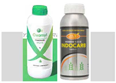 Sopisco News : Newsletter entirely dedicated to the banana and reefer ...